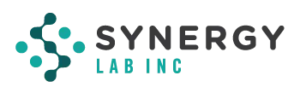 Synergy Lab - Where Entrepreneurs Come To Grow
